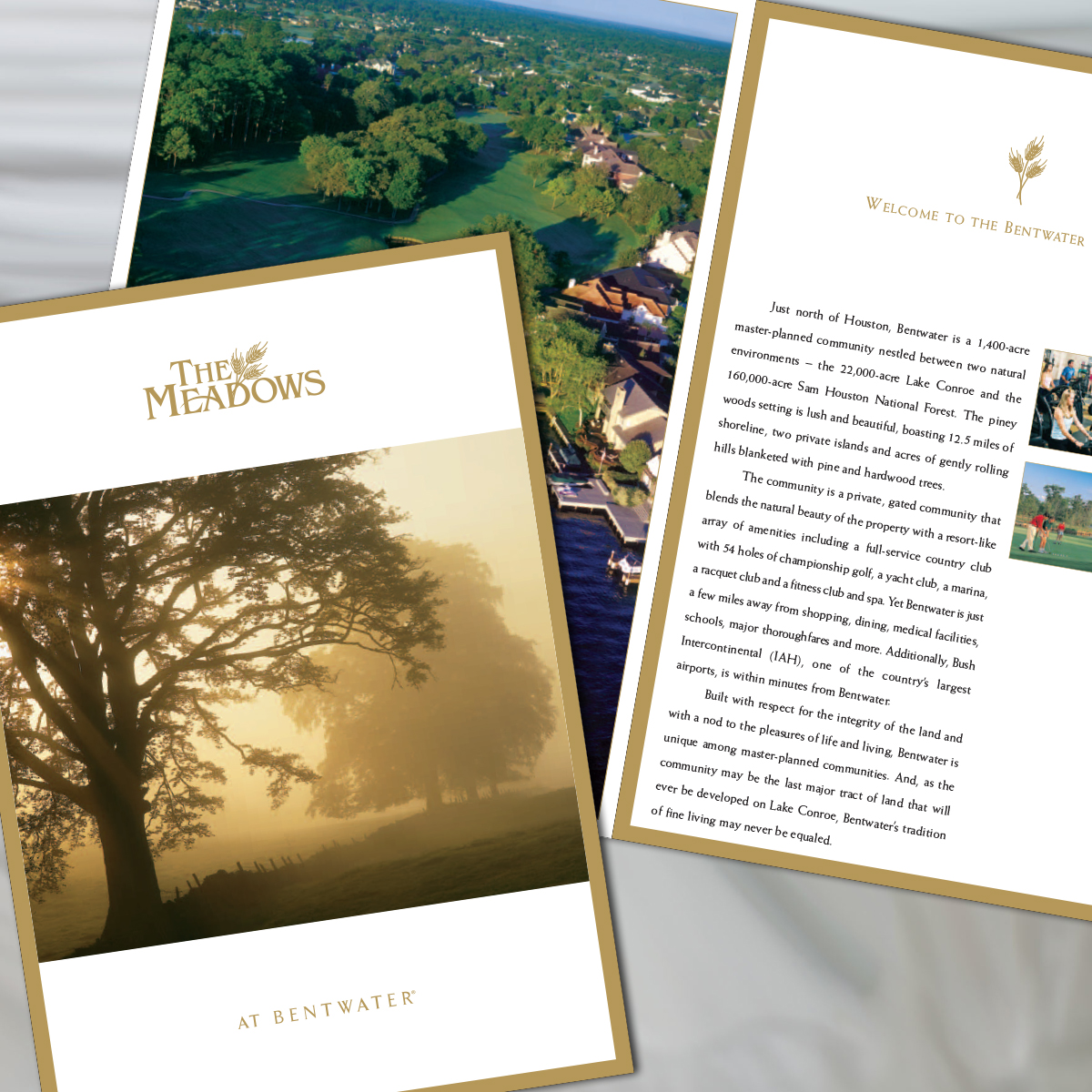 The Meadows Brochure - Elle Creative